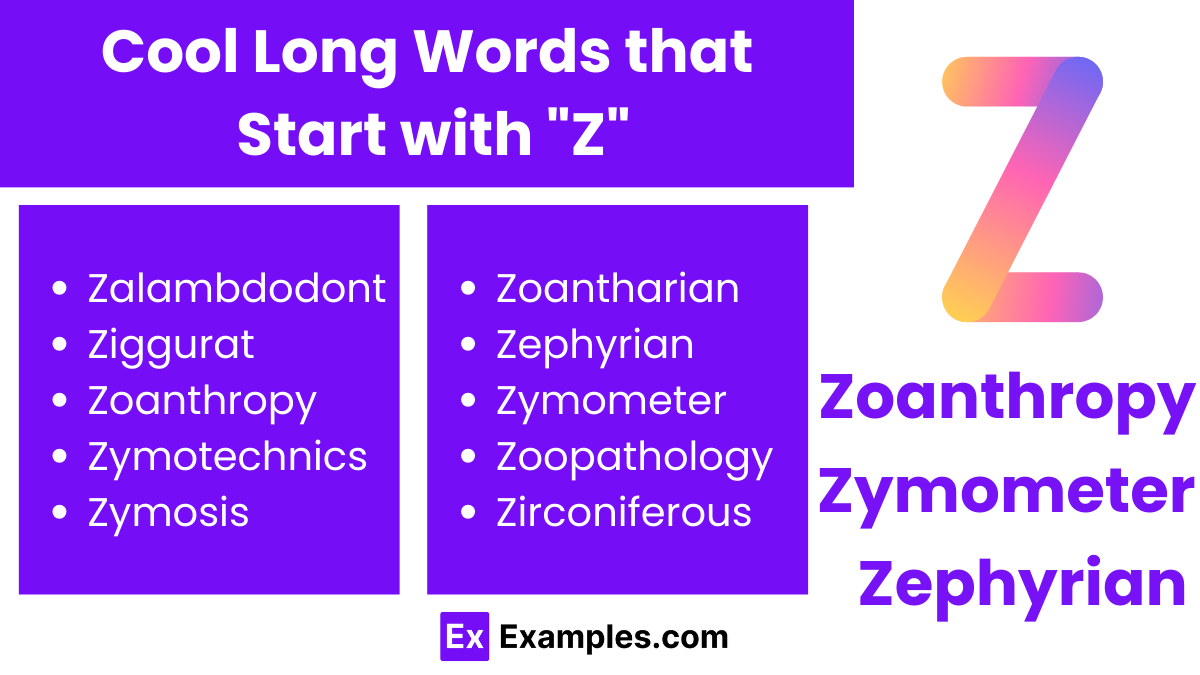 450+ Z Short & Long Words: Meaning, PDF