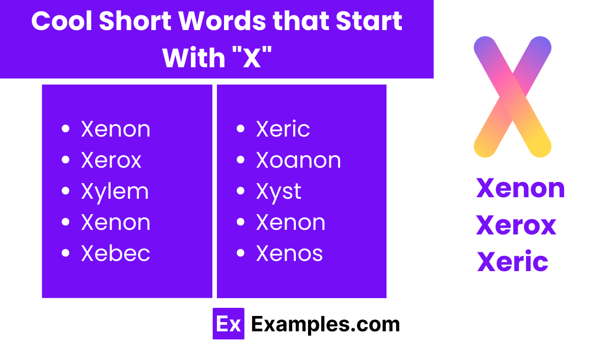 450+ X Short & Long Words, Meaning, PDF