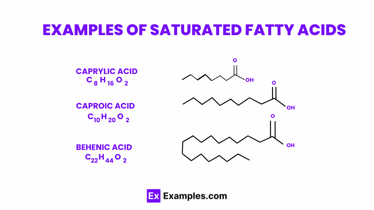 Saturated Fats, Definition, Examples, Facts, Affect Your Health