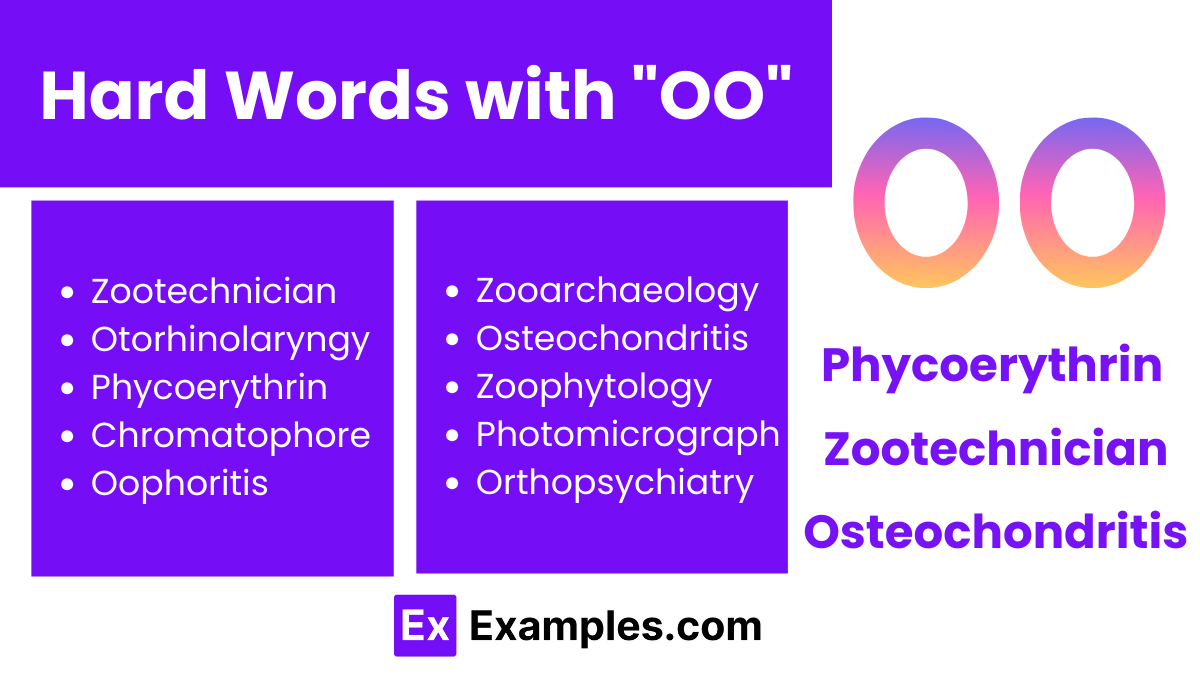 450+ OO Words, Meaning, PDF