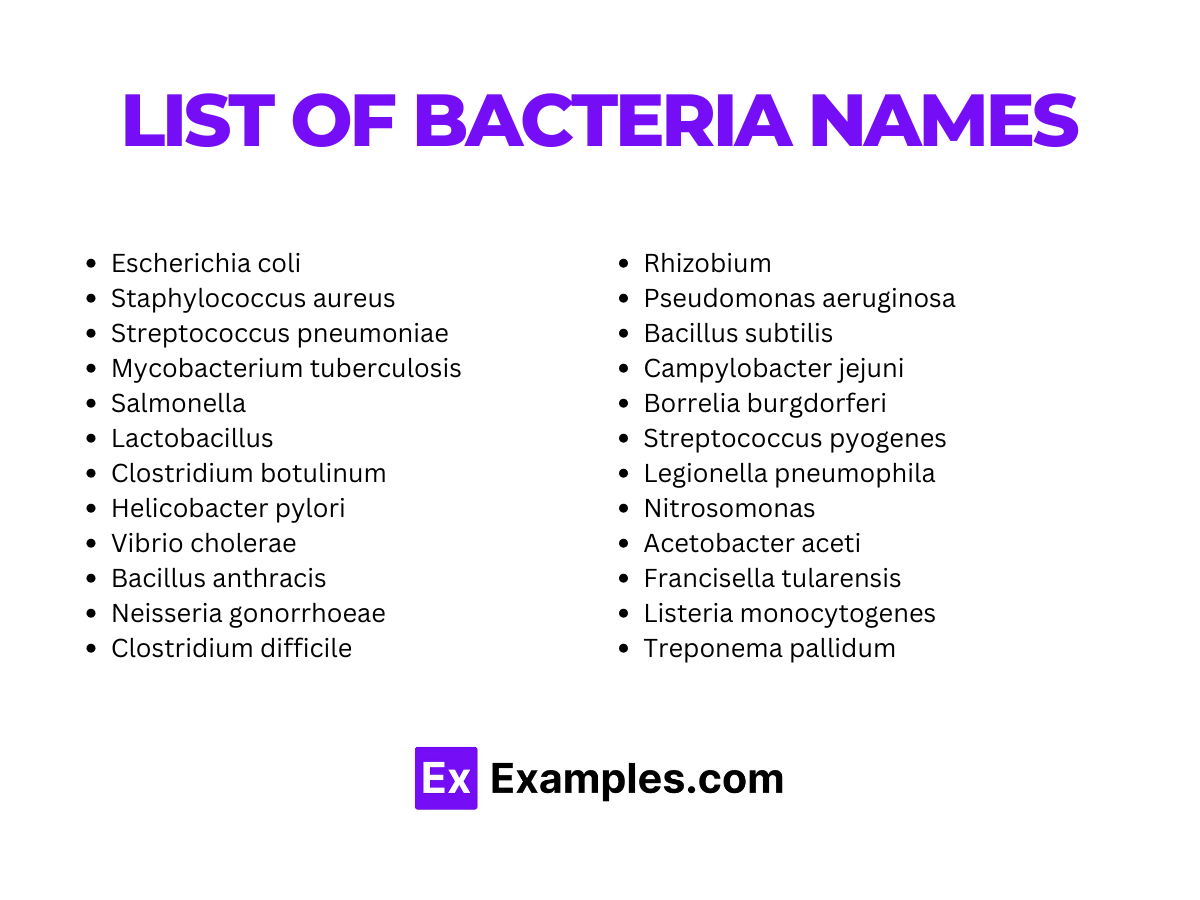 Bacteria - Definition, Lists, Types, Structure, Classification ...
