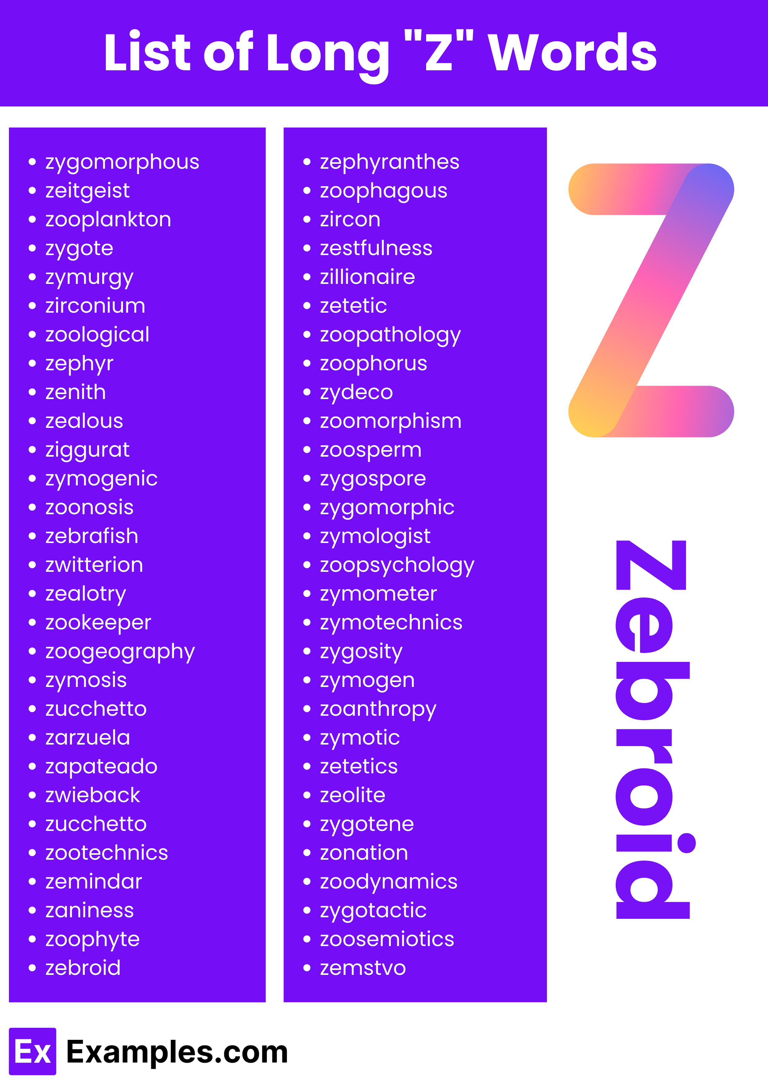 450+ Z Short & Long Words: Meaning, PDF