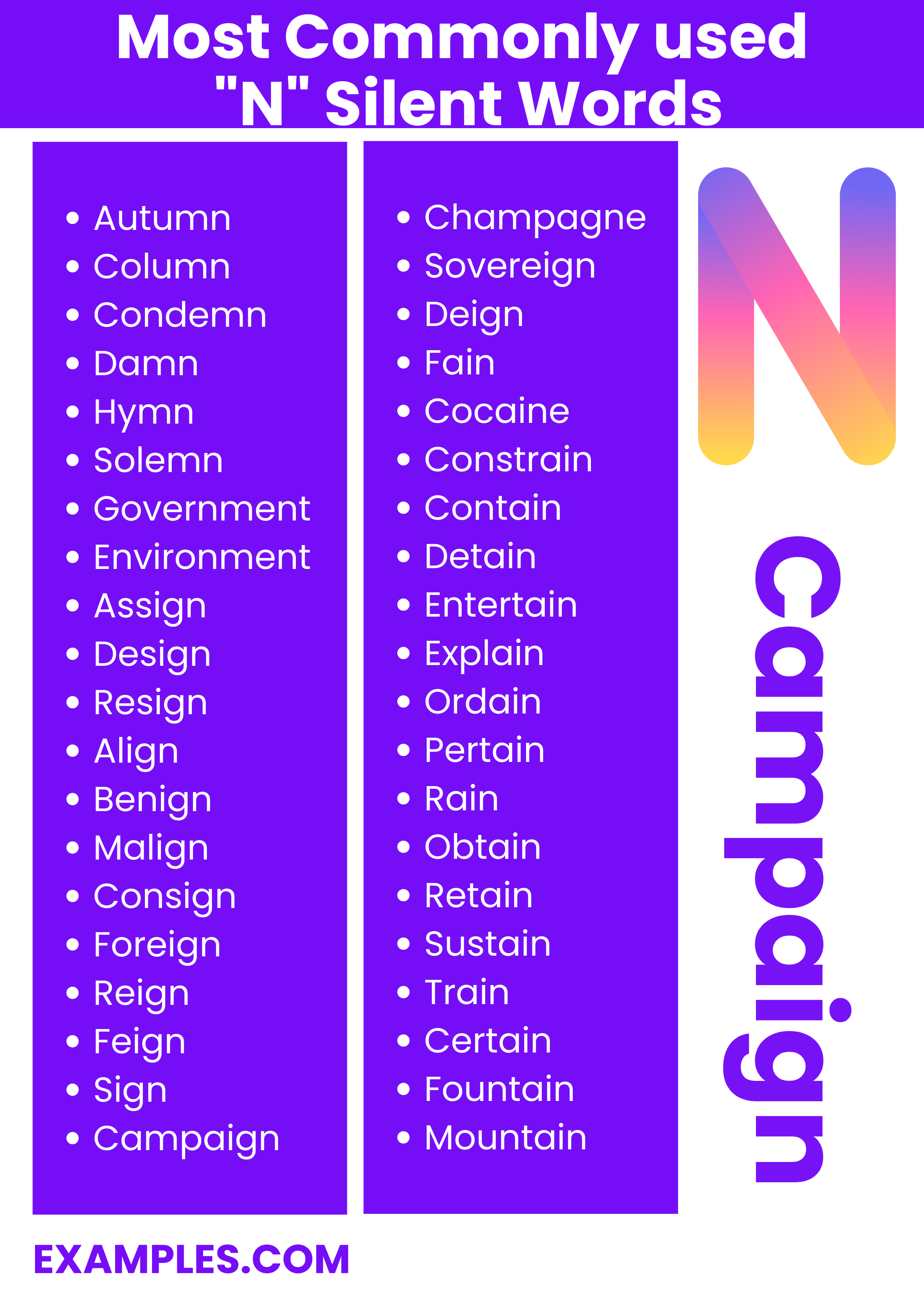 450+ N Silent Words: Meaning , PDF