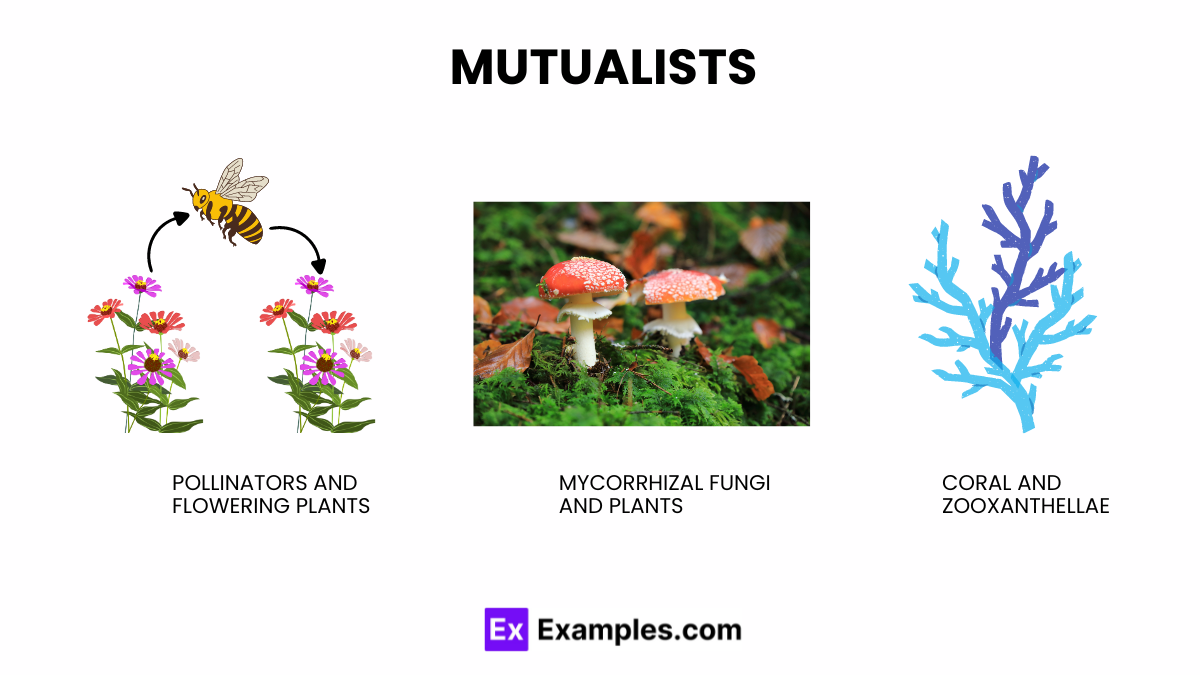 Keystone Species, Definition, Predators, Mutualists, Ecosystem Engineering