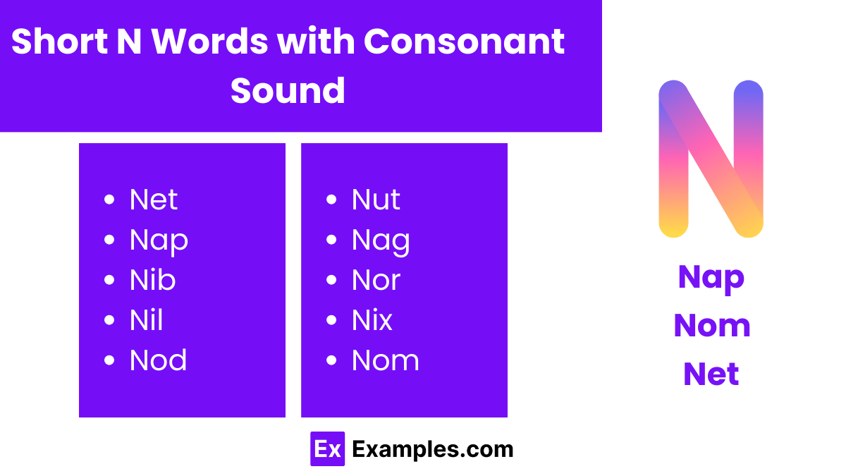 450+ N Short & Long Words, Meaning, PDF