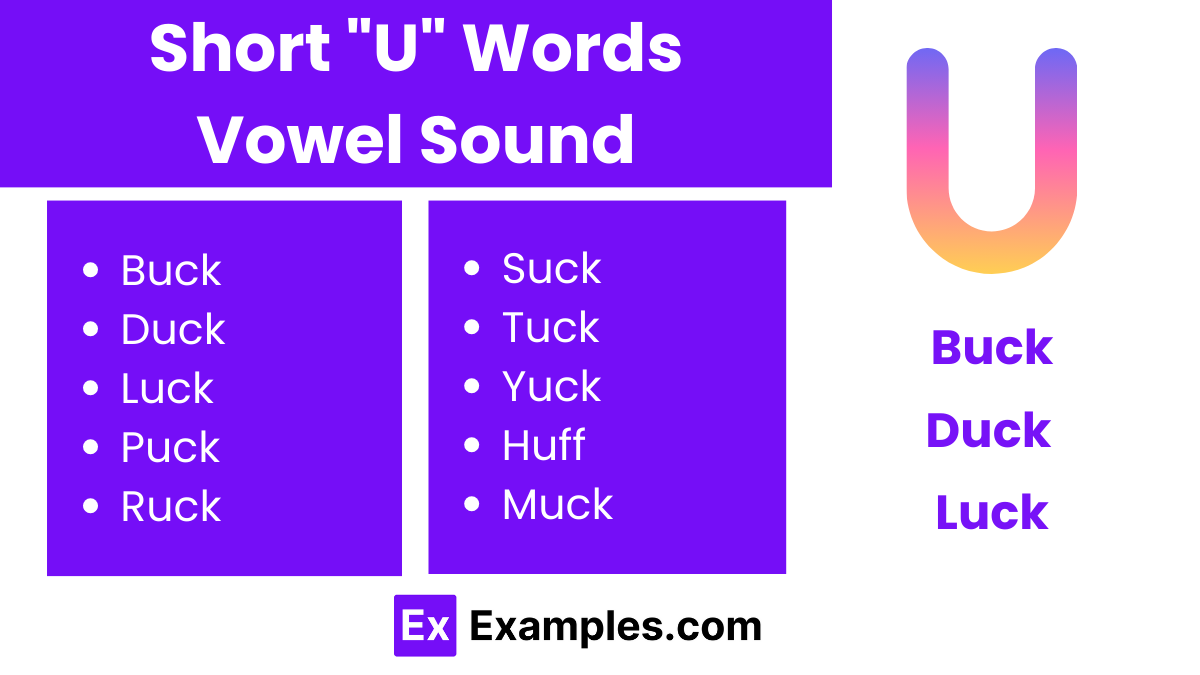 450+ U Short & Long Words, Meaning, PDF