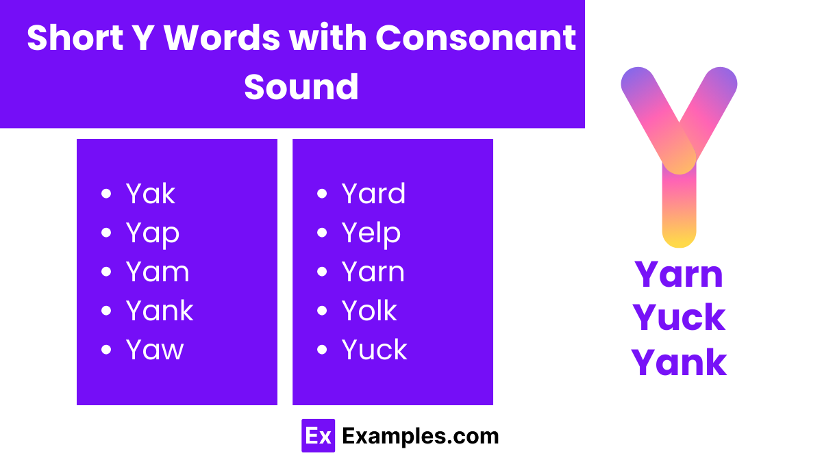 450+ Y Short & Long Words, Meaning, PDF