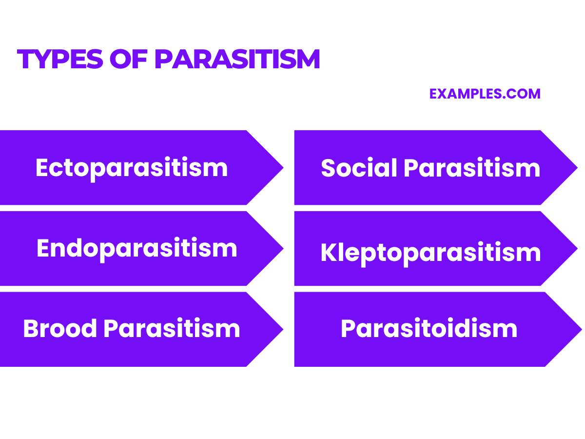 Parasitim - 20+ Examples, Definition, Types, Effects, Signs