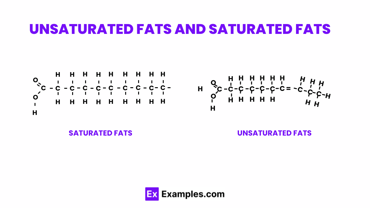Unsaturated Fats, Definition, Examples, Types, Lists