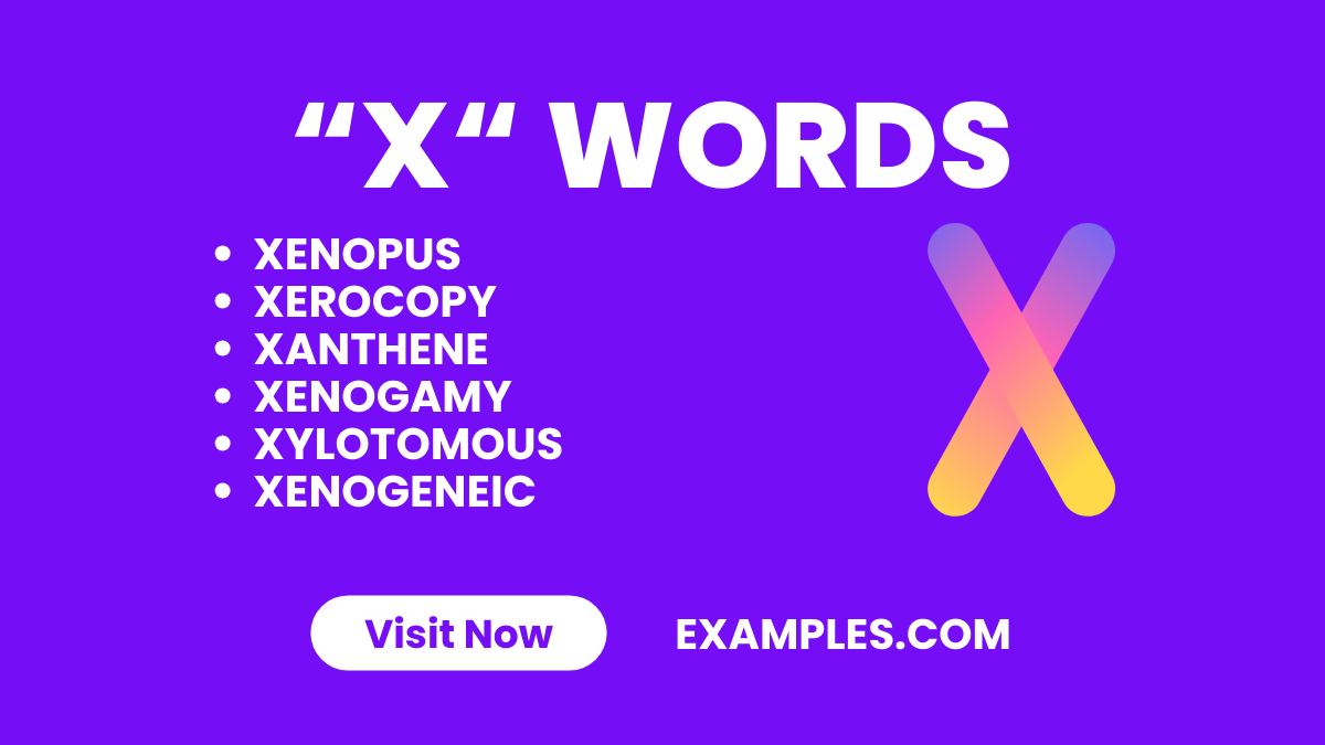 X Words 450 List Meaning PDF X Words 450 List Meaning PDF