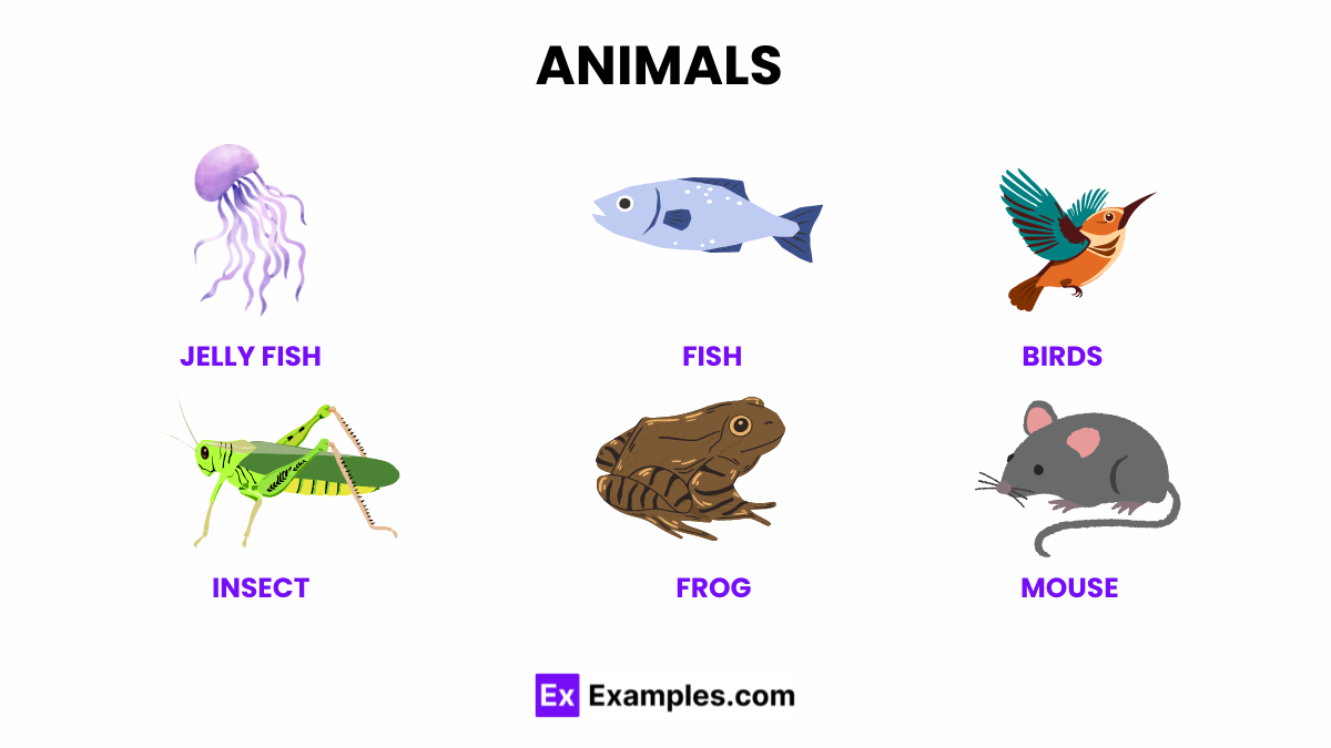 Organism Definition Organism Definition