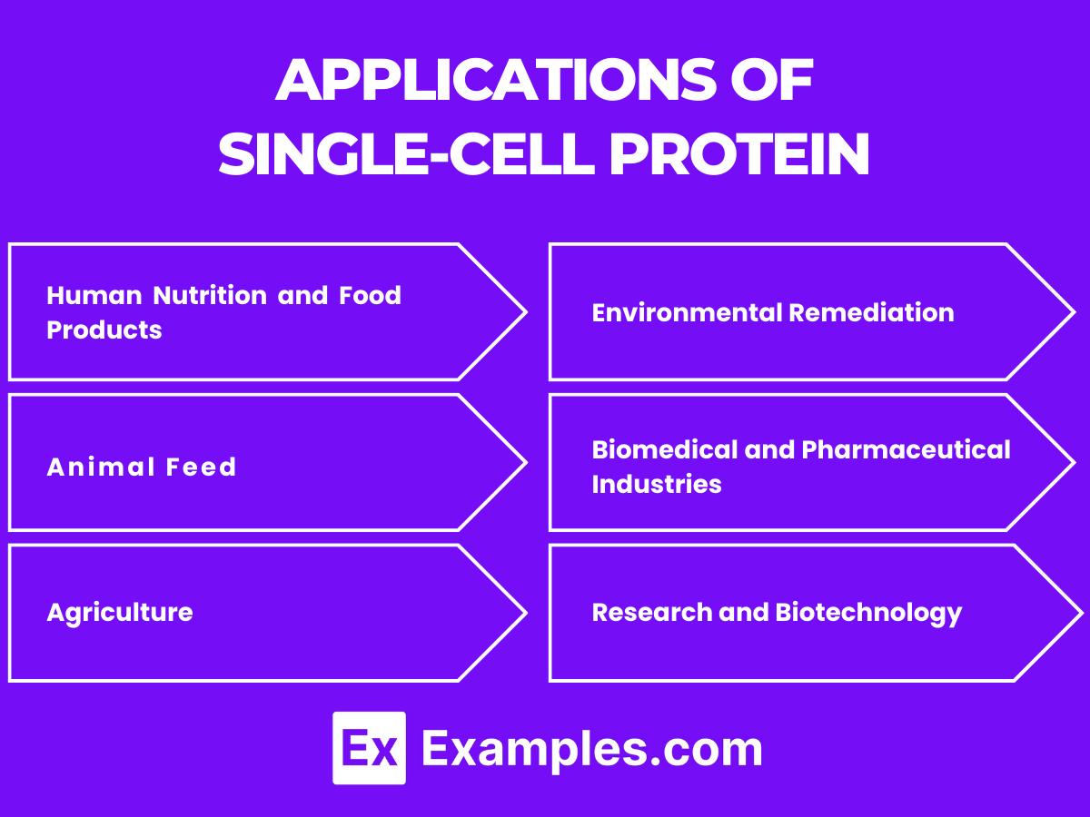 Single Cell Protien - Sources of Single Cell Protein, Production of ...