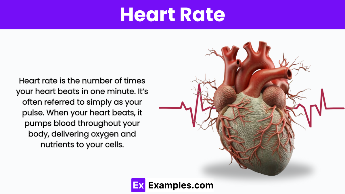 High Heart Rate High Heart Rate