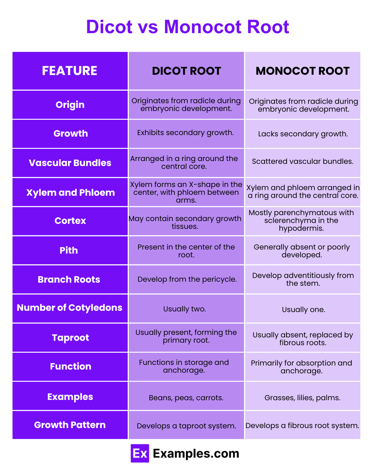How Do Monocot And Dicot Stems Differ In Terms Of Their Vascular System