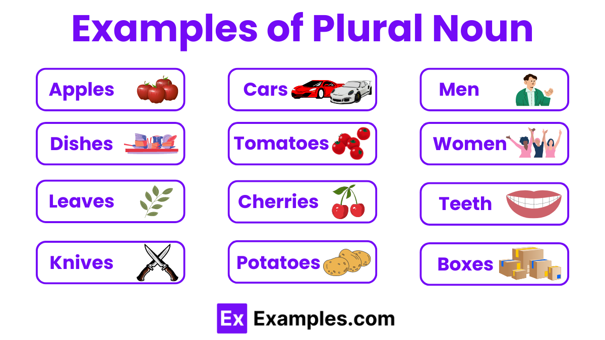 Plural Nouns Samokatschool ru