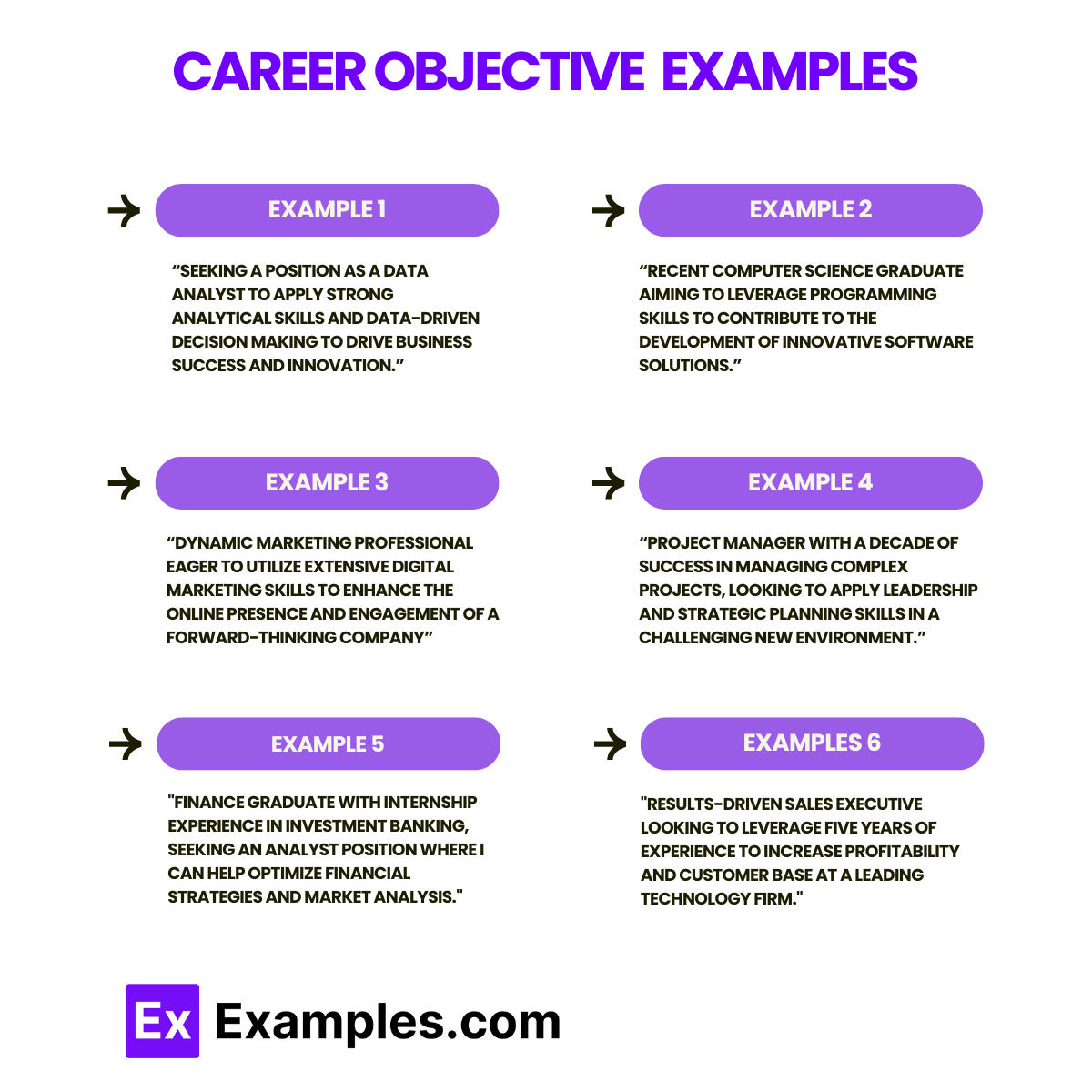Job Objective Examples For