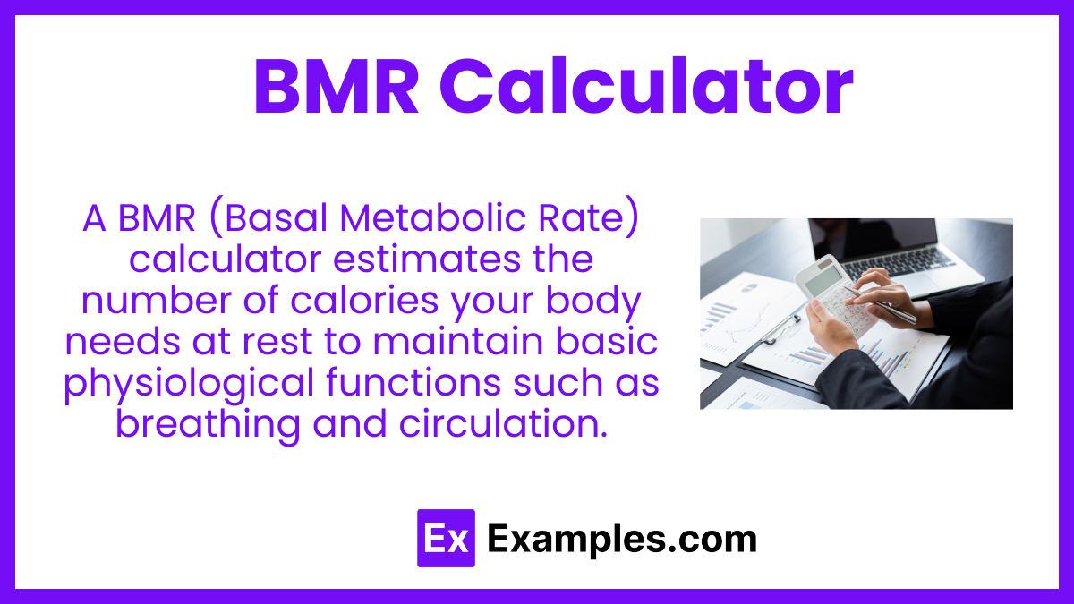 BMR Calculator