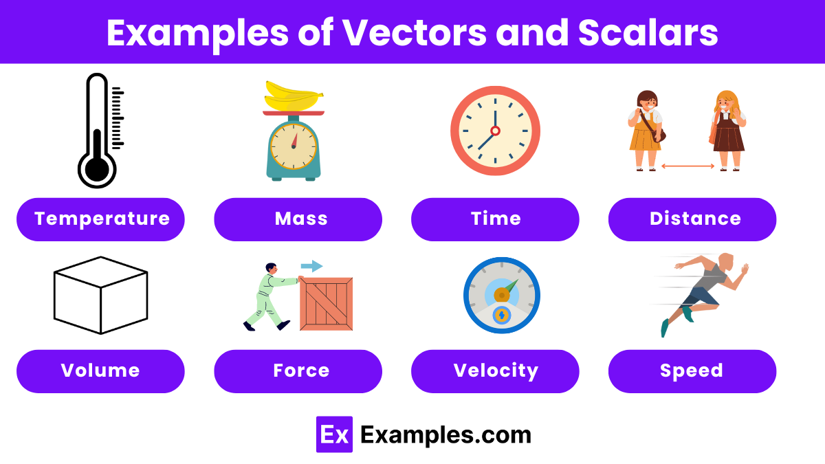 What Is A Vector And Scalar Scalar Vector Quantities DP IB Physics What Is A Vector And Scalar Scalar Vector Quantities DP IB Physics
